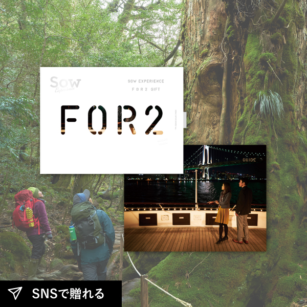 【送料無料】SOW EXPERIENCE カタログギフト FOR2ギフト（BROWN）|カタログギフトならPIARYソーシャルギフト「P.S.GIFT」